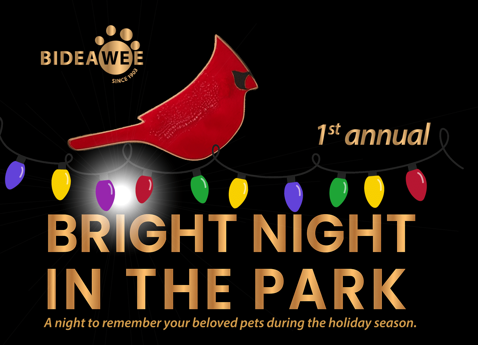 Bideawee | Bright Night In The Park